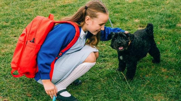 School pets: Tell us if you have a classroom dog, bird or hamster - BBC ...
