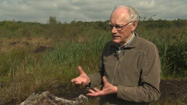 Lindow Man: Forty years since bog gave up gruesome secret - BBC News