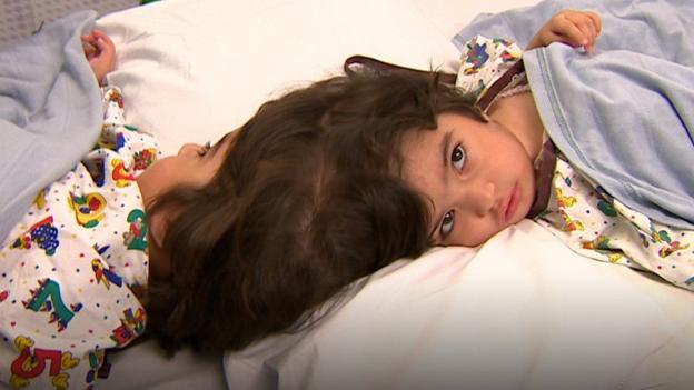 Long Reads - BBC News