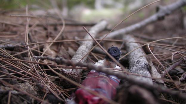 Crows' tool time captured on camera - BBC News