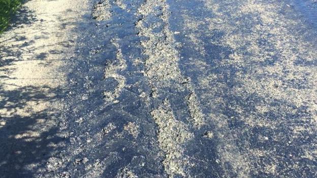 In Pictures: England soaks up more hot weather - BBC News