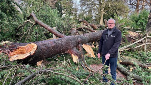 Storm Éowyn: Gardens staff 'devastated' at loss of Edinburgh's tallest ...