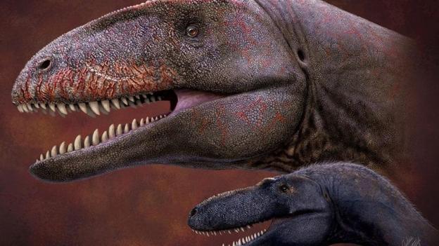 'Oldest EVER' dinosaur fossil found - BBC Newsround