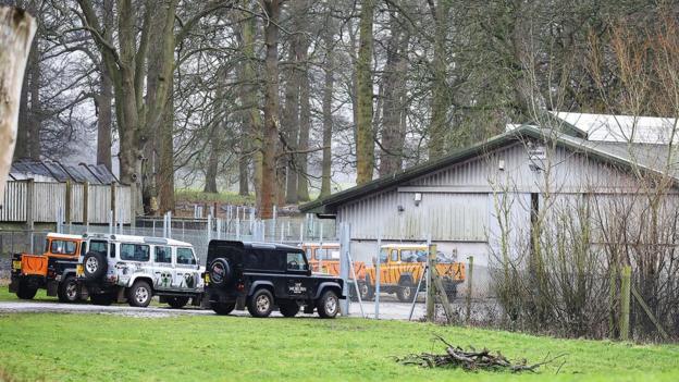 Woburn Safari Park fire: Thirteen patas monkeys killed - BBC News