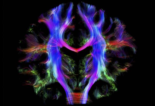 The 20 best science images of the year? - BBC News