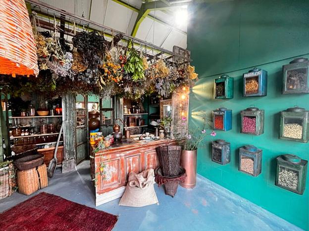 Banjo Beale: 'I'm a truffle pig sniffing out interior design treasures ...