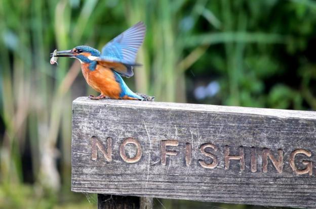 England's Big Picture: 26 June - 2 July - BBC News