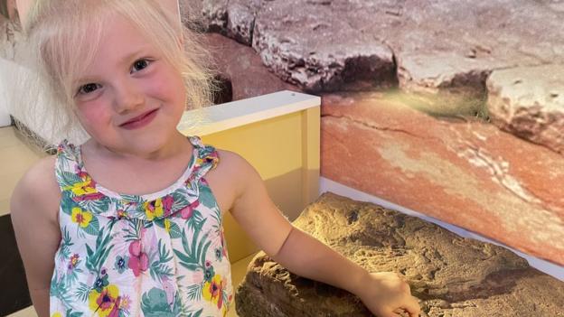 'Very rare' fossils found in Wales with crowdfunded help - BBC News