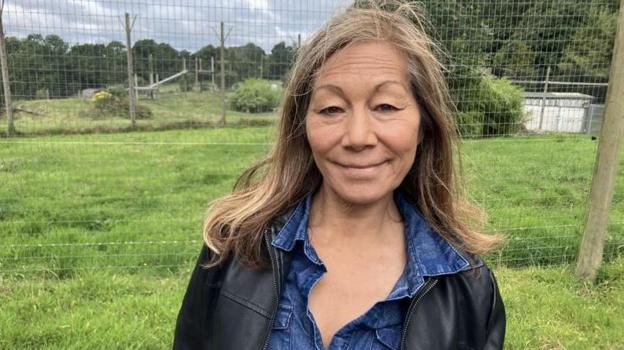 Largest Sumatran tiger litter in the UK born in Pembrokeshire - BBC News