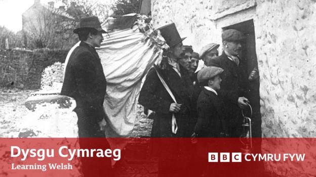 Newyddion a mwy - BBC Cymru Fyw