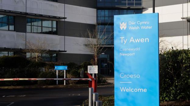 Welsh Water sewage leaks catastrophic, say campaigners - BBC News