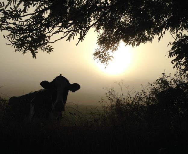 England's Big Picture: 24 - 30 October - BBC News