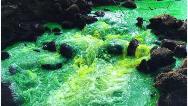 Marble Arch Caves: the science behind the tracing of water - BBC News