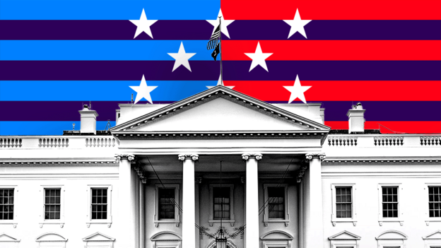A Really Simple Guide To The Presidential Vote Bbc News