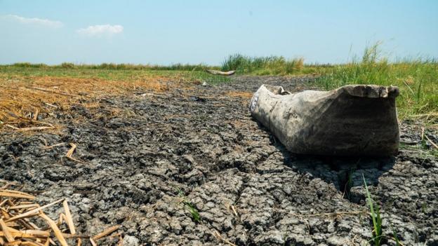 Climate change: Five things we have learned from the IPCC report - BBC News