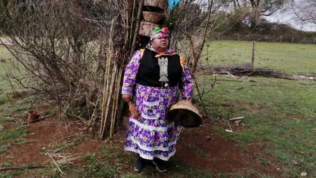 Chile's Mapuche indigenous group fights for rights - BBC News