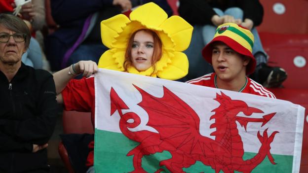 St David's Day: How and when the daffodil and the leek became the ...