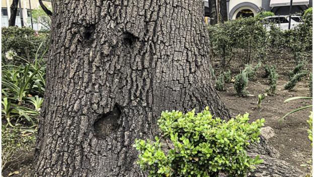 Scientists know why we see faces in things that aren't there - BBC ...