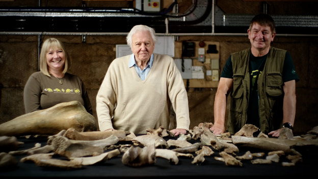 Rutland sea dragon: How remarkable ichthyosaur fossil was protected ...