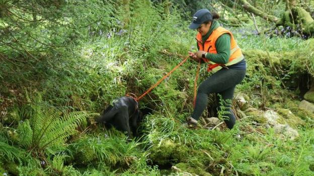 River Kennet: Eating crayfish 'won’t turn tide on invasive species ...