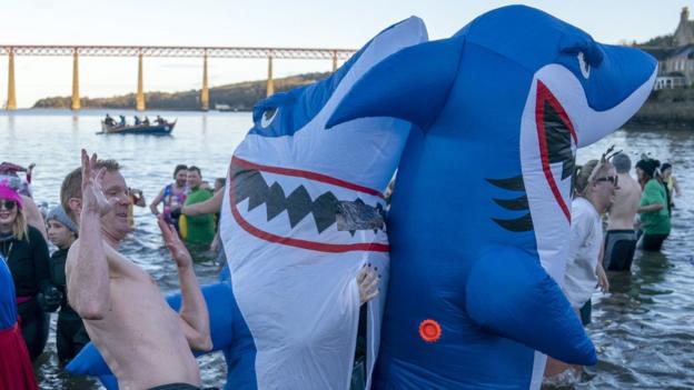 Loony Dookers brave icy Forth for New Year's Day plunge - BBC News