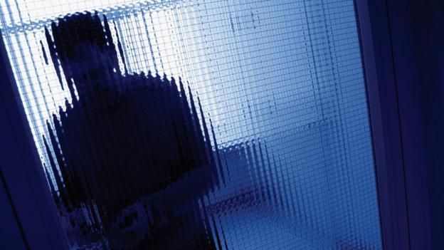 The computer virus that blackmails you - BBC News