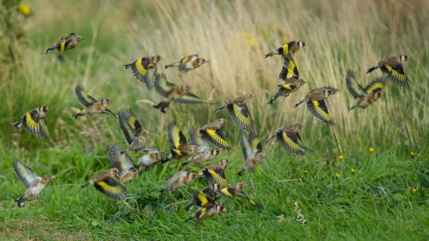 Your pictures of Scotland: 2 - 9 October - BBC News