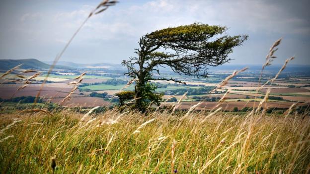UK weather: Why has it been so windy today? - BBC Newsround