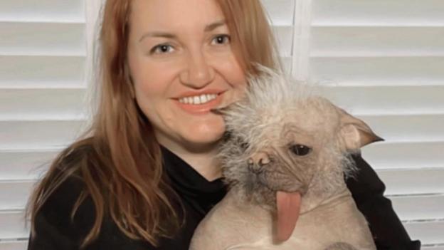 East Yorkshire's Peggy the Pugese bids to be named UK's ugliest dog ...