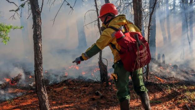 What are 'zombie fires' and why is the Arctic Circle on fire? - BBC ...