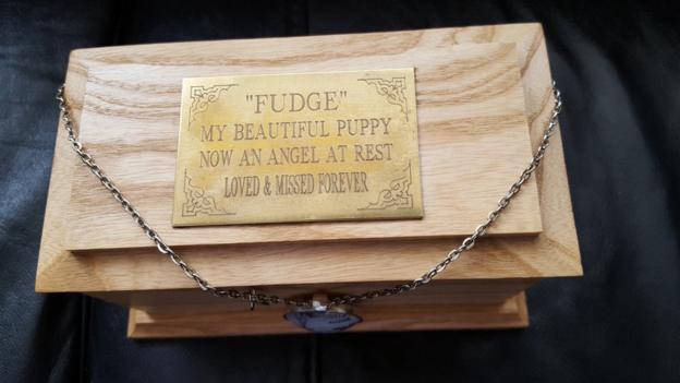 The Dangerous Dogs Act 25 years on: How effective has it been? - BBC News