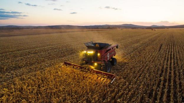 Intensive farming 'least bad option' for food and environment - BBC News
