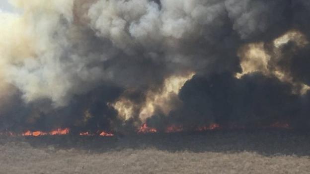 Bolivia wildfires in east extinguished by rain - BBC News
