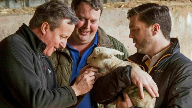 Who is Stephen Crabb? - BBC News