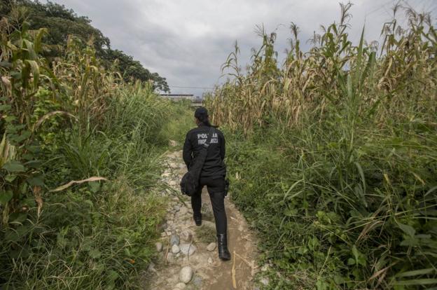 Call of duty: One woman's life in Mexico's border force - BBC News