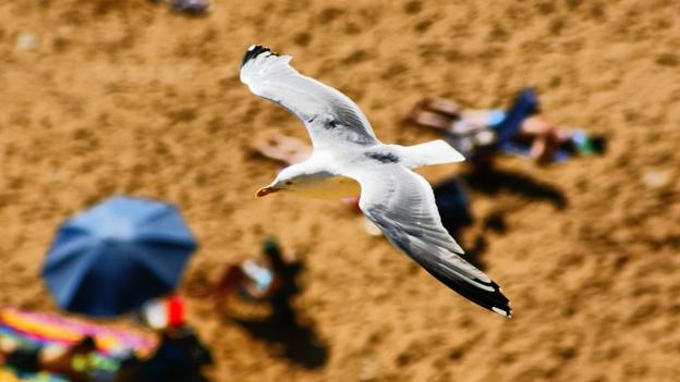 Your pictures: Holidays - BBC News