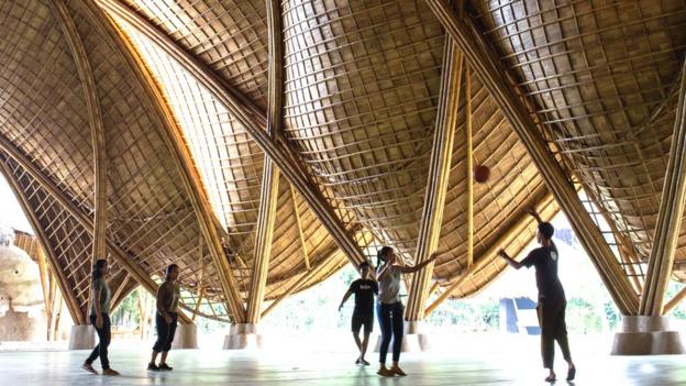 Can bamboo be big in construction? - BBC News