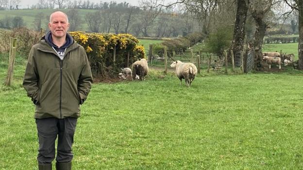Northern Ireland farming: Half of fields tested in soil scheme - BBC News