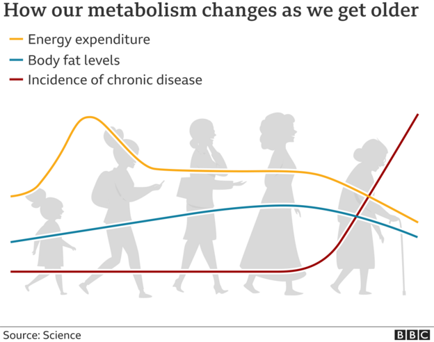 Metabolism peaks at age one and tanks after 60, study finds - BBC News