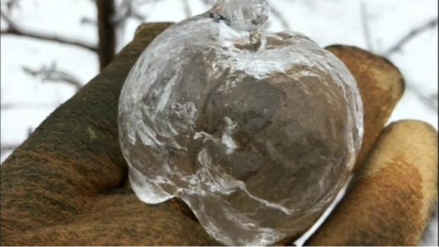 Ghost apple: how the polar vortex creates the illusion - BBC Newsround
