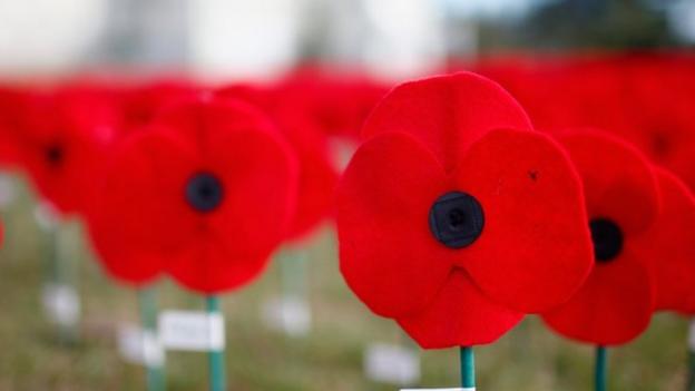 White poppy: How is it different from the red remembrance symbol? - BBC ...