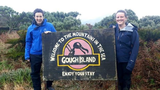 Gough Island: Worker sought for one of world's remotest places - BBC News