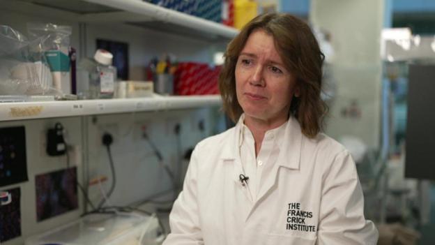 Immunotherapy project aims to benefit more cancer patients - BBC News