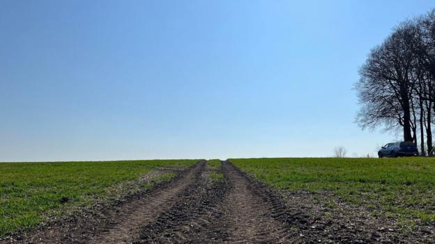 Saving the peewit: Hope for 'iconic' country bird - BBC News
