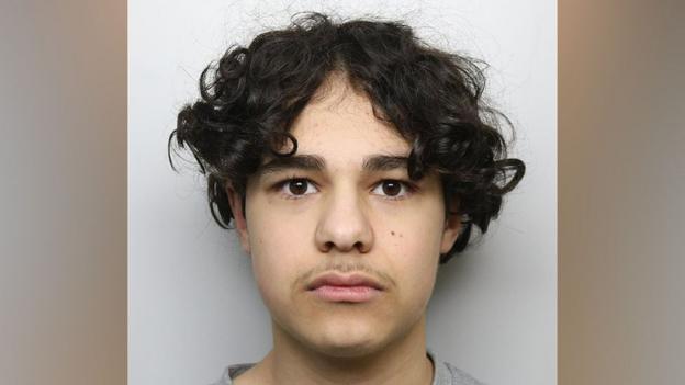 Alfie Lewis: Leeds teenager detained for life for murder - BBC News