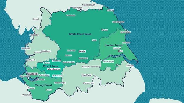 The Northern Forest: 10 million trees planted in the north of England ...