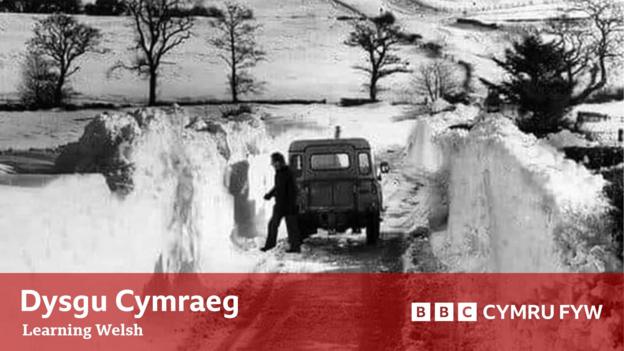 Wales | Latest News & Updates | BBC News