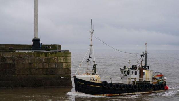 What is the sea bottom trawling ban? - BBC Newsround