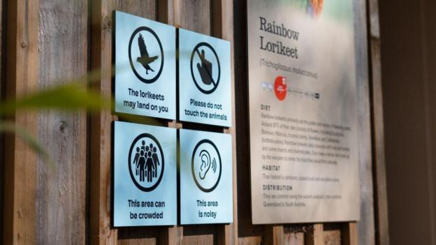 Longleat's 'strong smell', 'hot' and 'noisy' signs praised - BBC News
