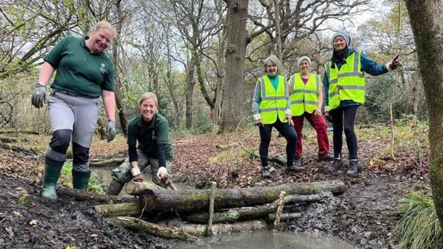 Epping to see hundreds of leaky dams installed to stop floods - BBC News